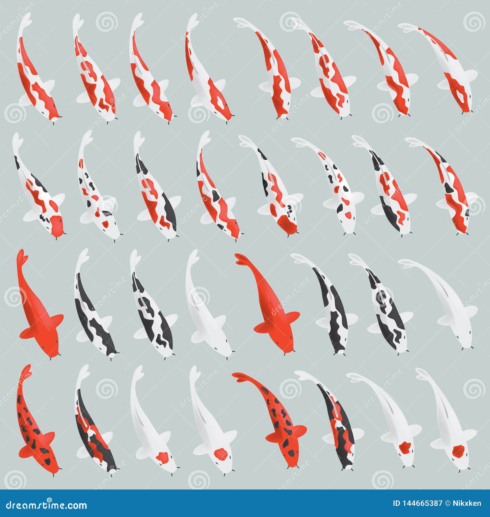 Koi Fish Set - munimoro.gob.pe