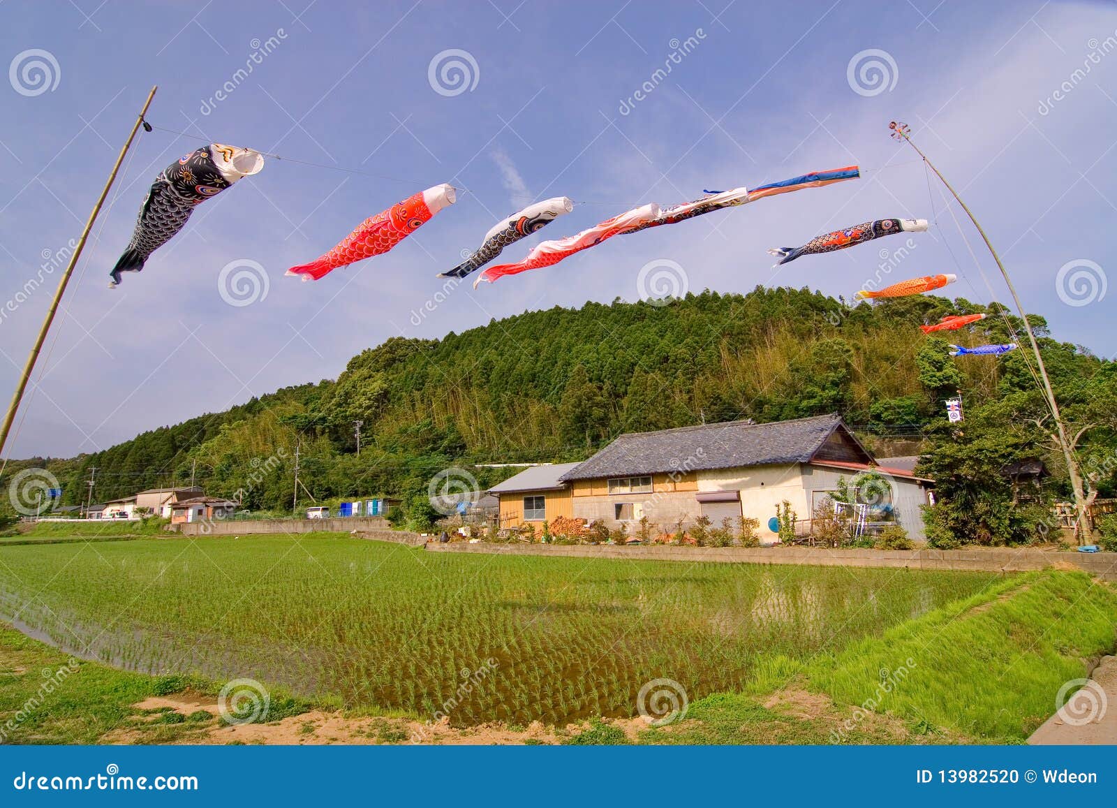Japanese Koi-nobori Wind Socks Blowing in the Wind Stock Photo - Image ...