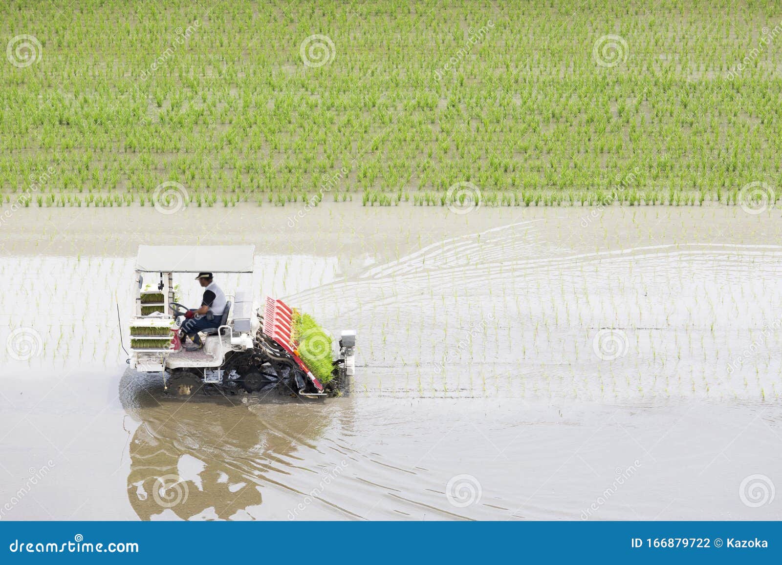 Rice planting with tractor stock photo. Image of japan - 166879722