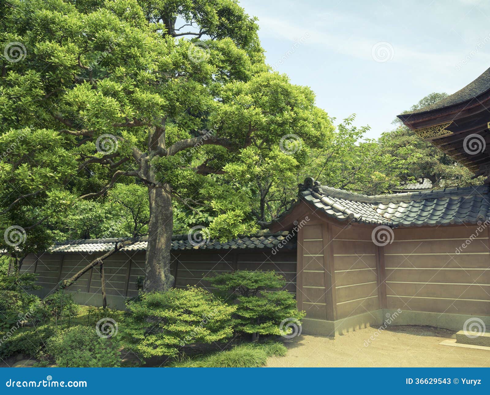 Japanese landscape stock image. Image of sunny, garden - 36629543