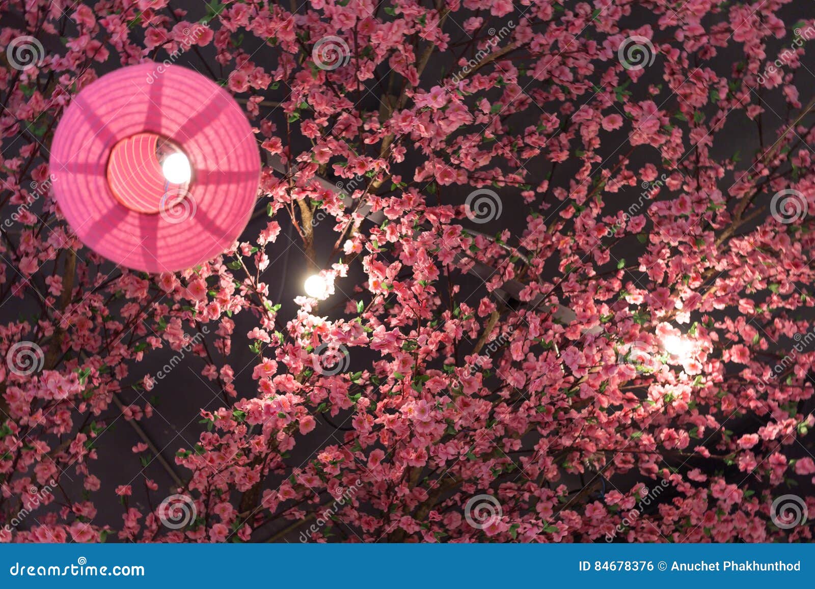 Japanese Lantern Pink Color with Plastic Sakura. Stock Photo - Image of ...