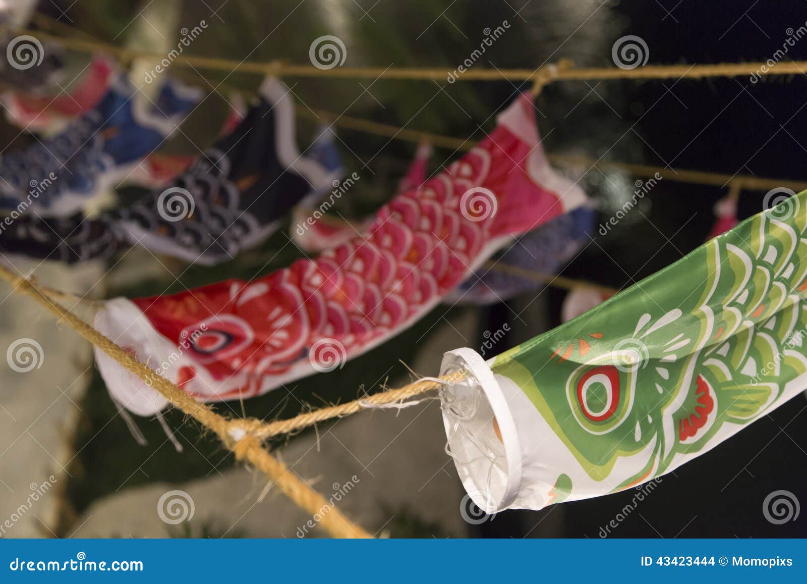Japanese Lucky Fish in a Temple Stock Photo - Image of ancient ...