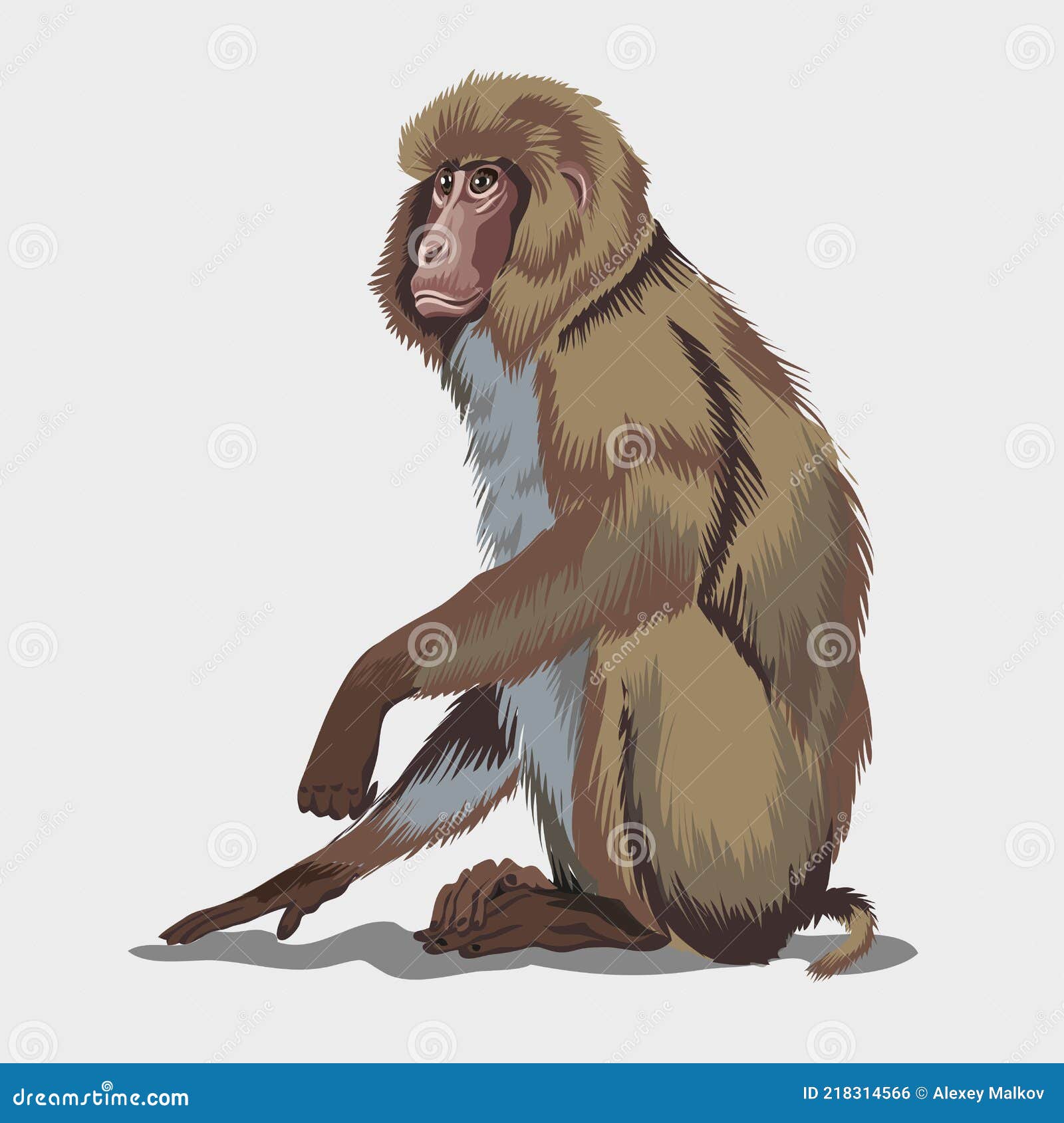 Japanese Macaque - Vector Illustration Sketch Hand Drawn With Bl ...