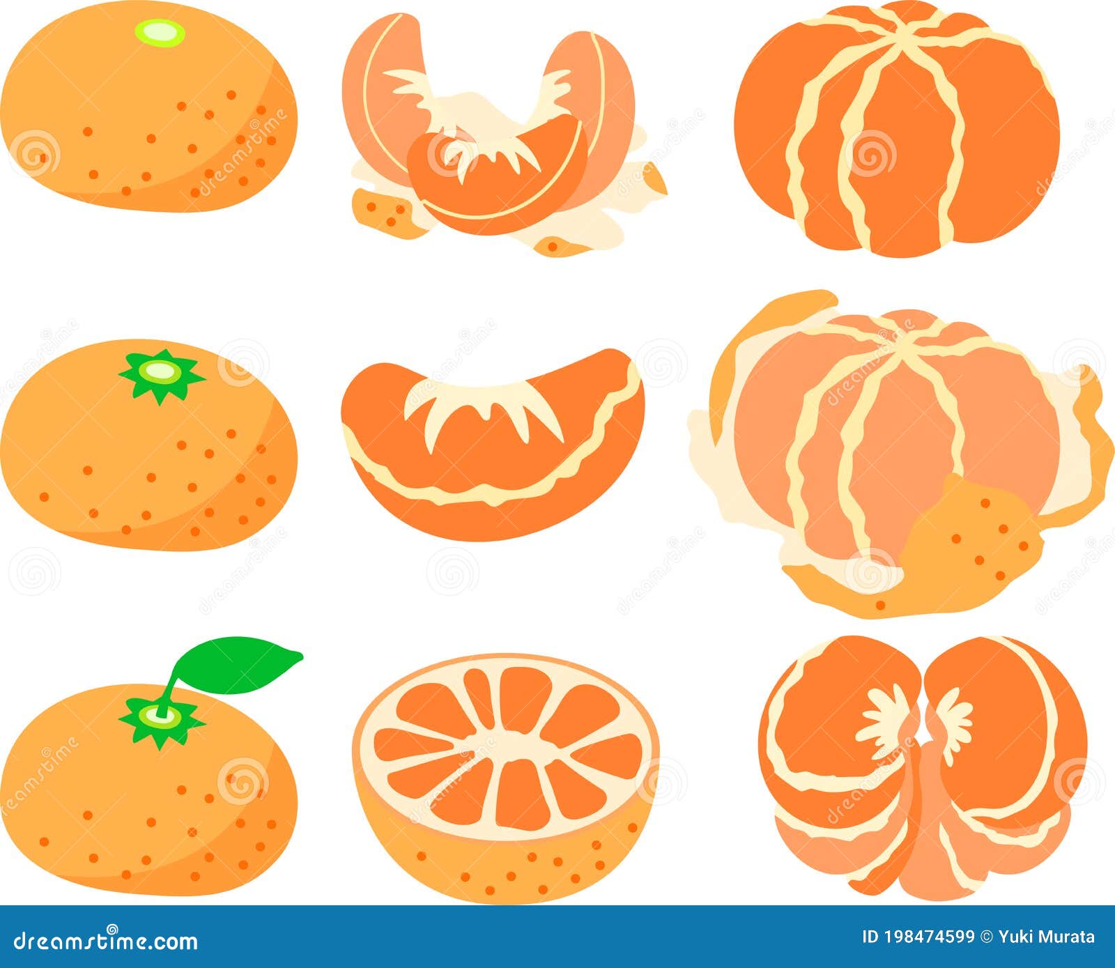 Japanese Mandarin Orange Set Stock Vector - Illustration of fall ...