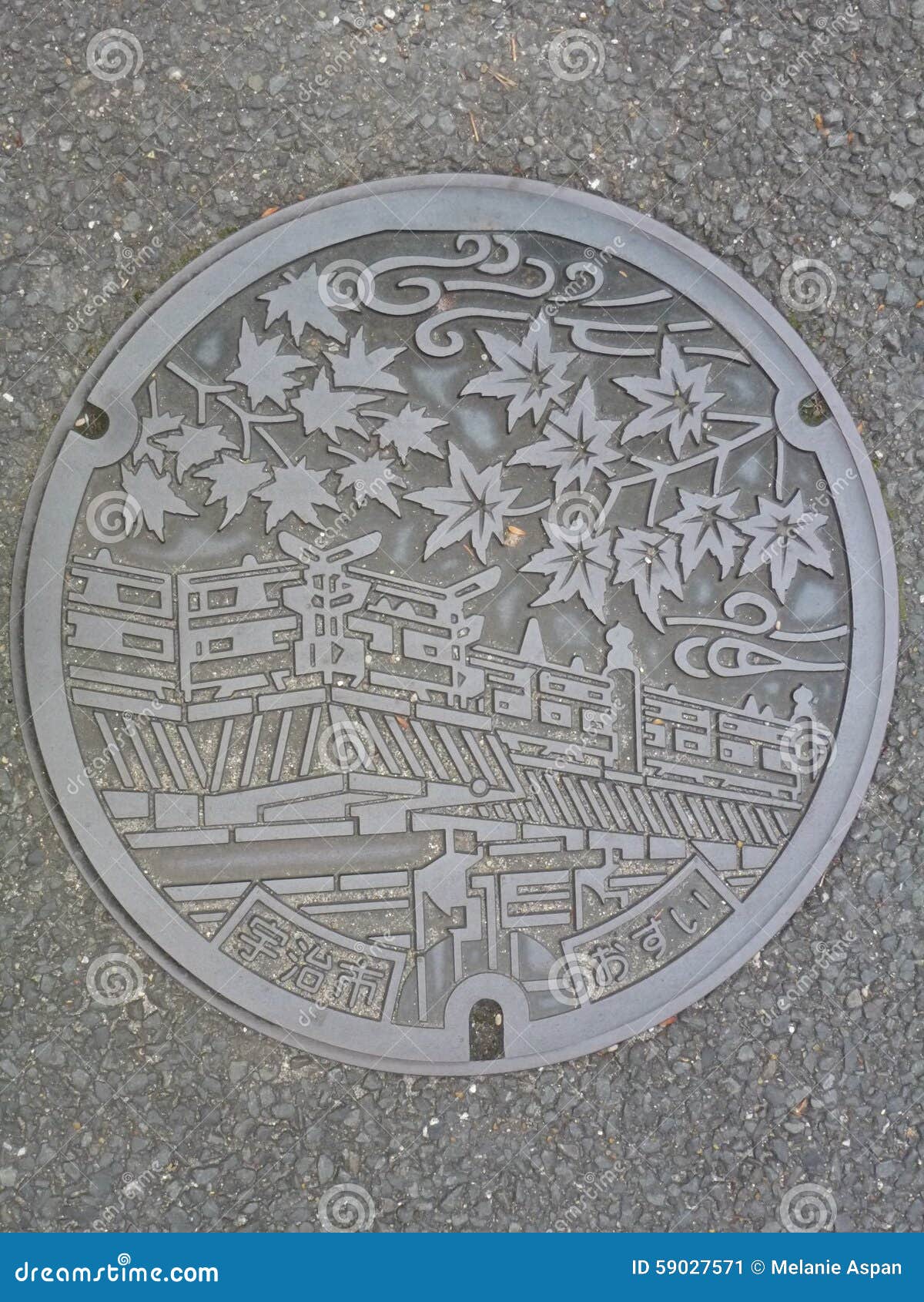 Japanese Manhole Cover stock image. Image of cover, leaves - 59027571