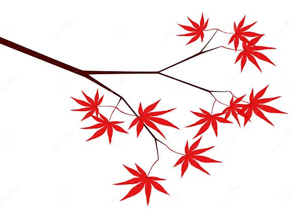 Japanese maple stock vector. Illustration of japan, tree - 13900724