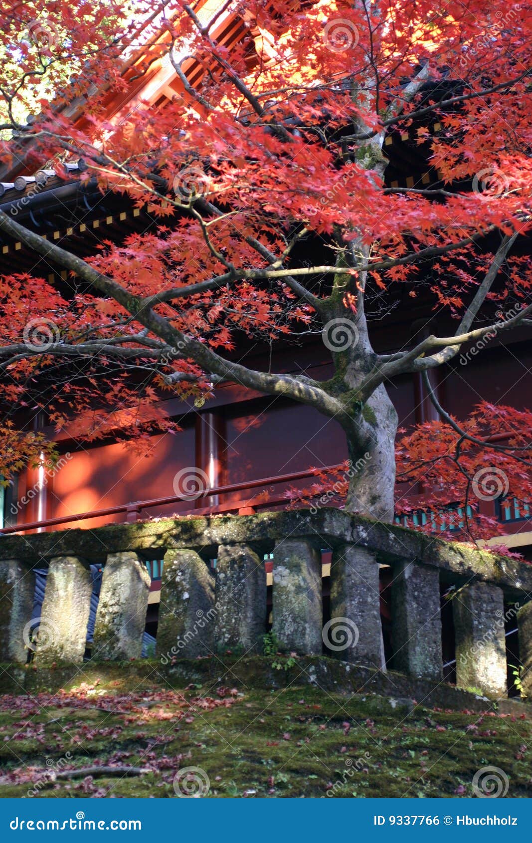 11,341 Japanese Maple Temple Stock Photos - Free & Royalty-Free Stock ...