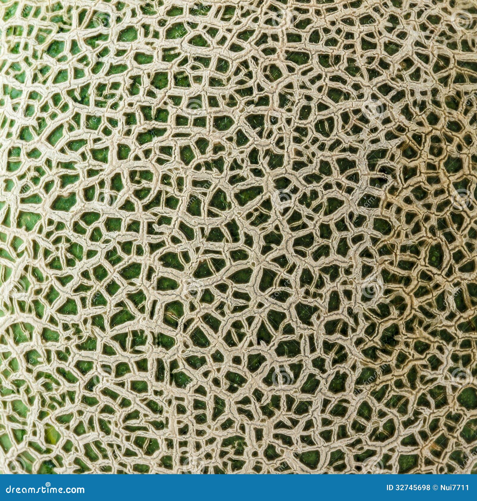 Japanese melon skin stock photo. Image of peel, pattern - 32745698