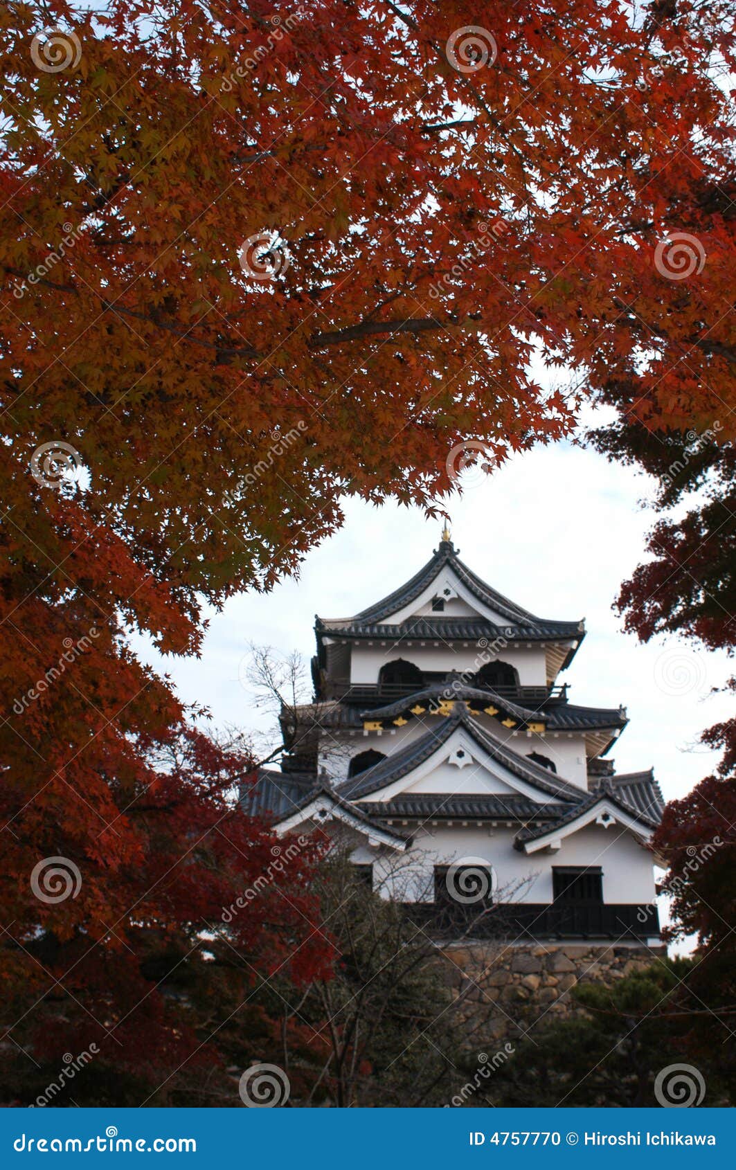 Japanese Old Castle in Hikone Stock Photo - Image of watch, tree: 4757770