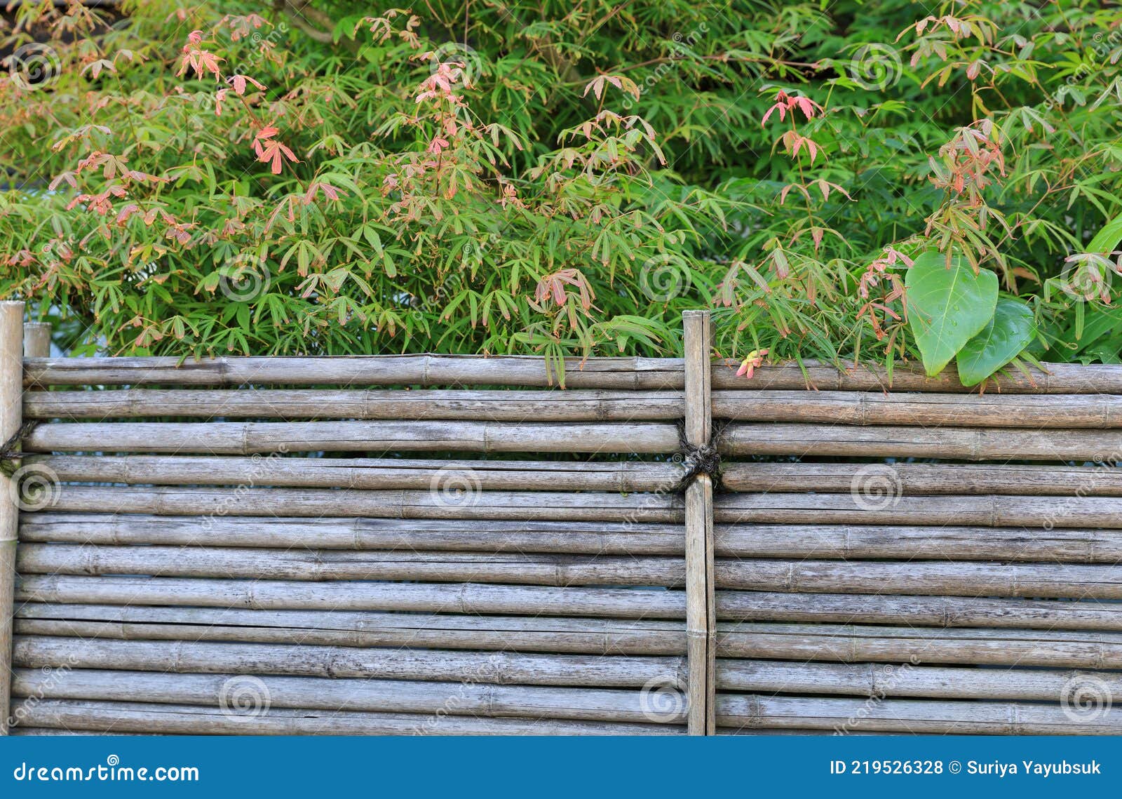 Old Style Bamboo Fence Panel Stock Photo - Image of fence, home: 219526328