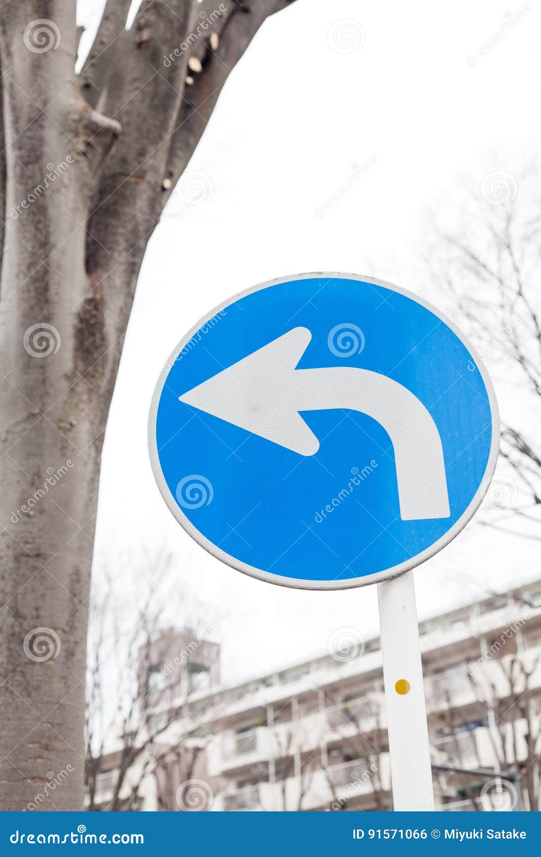 Japanese one way sign stock photo. Image of metal, sign - 91571066