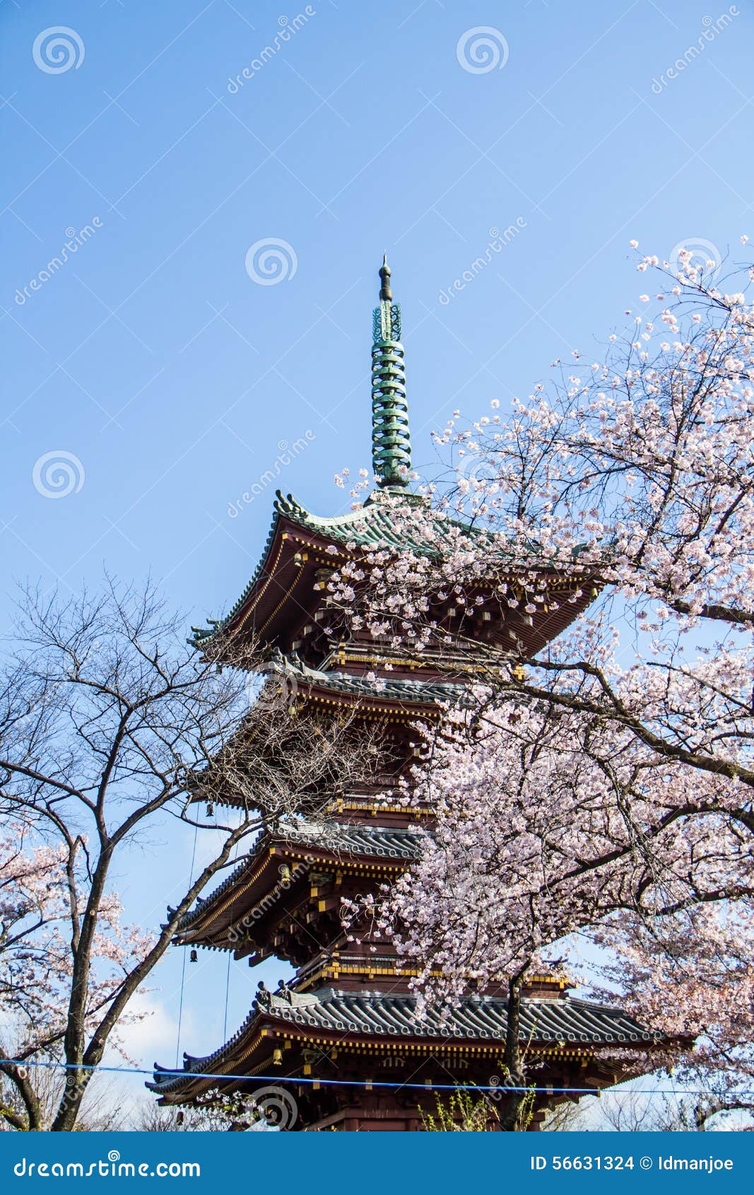 Japanese pagoda stock photo. Image of japanese, nature - 56631324