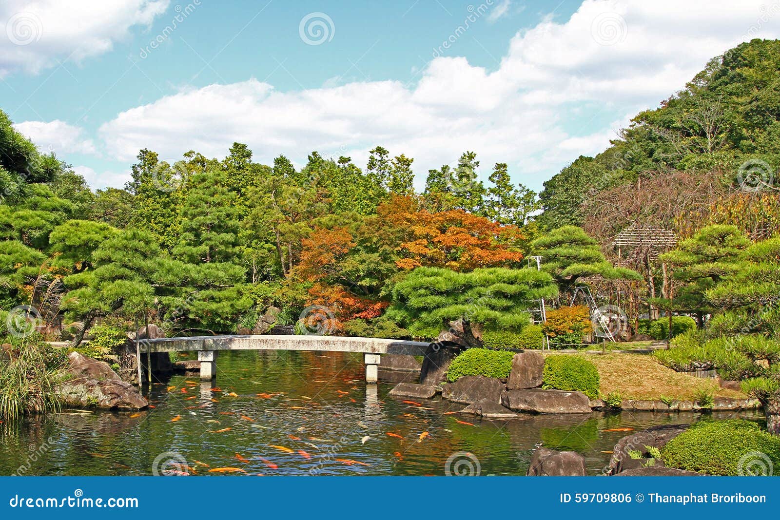 Japanese park stock photo. Image of asian, gardens, green - 59709806