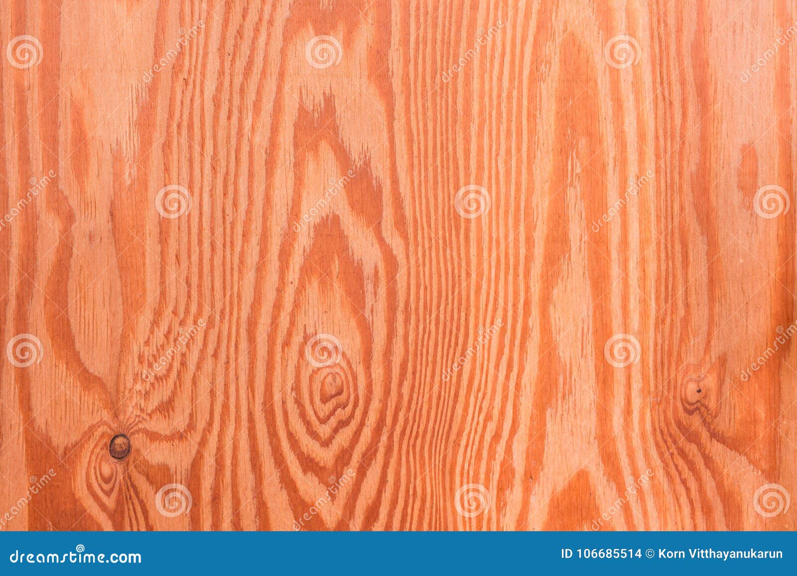 Japanese Pine Wood Texture stock photo. Image of background - 106685514