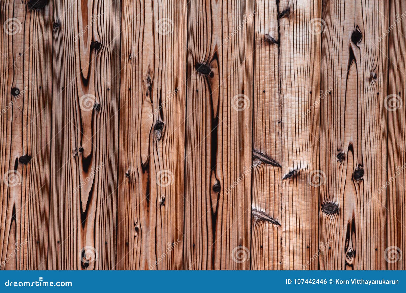 Japanese Pine Wood Wall Texture Stock Photo - Image of natural, panel ...