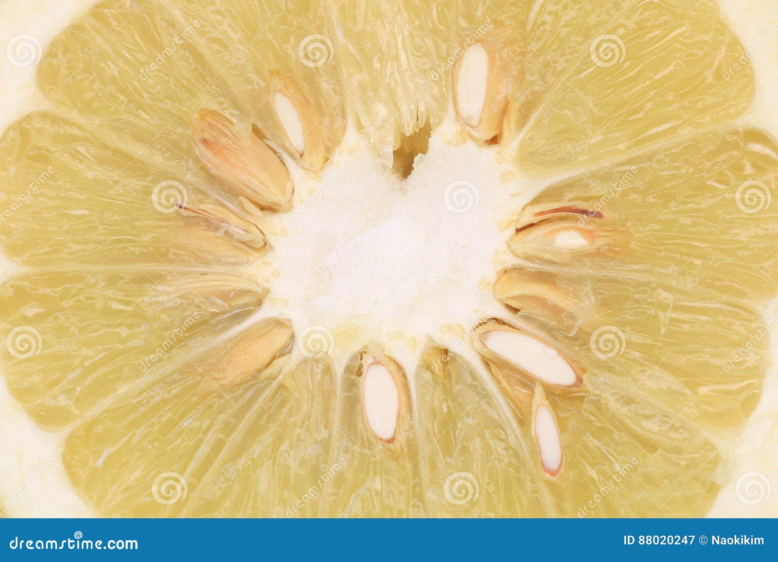 Japanese Pomelo Fruit Background Stock Image - Image of farm, round ...