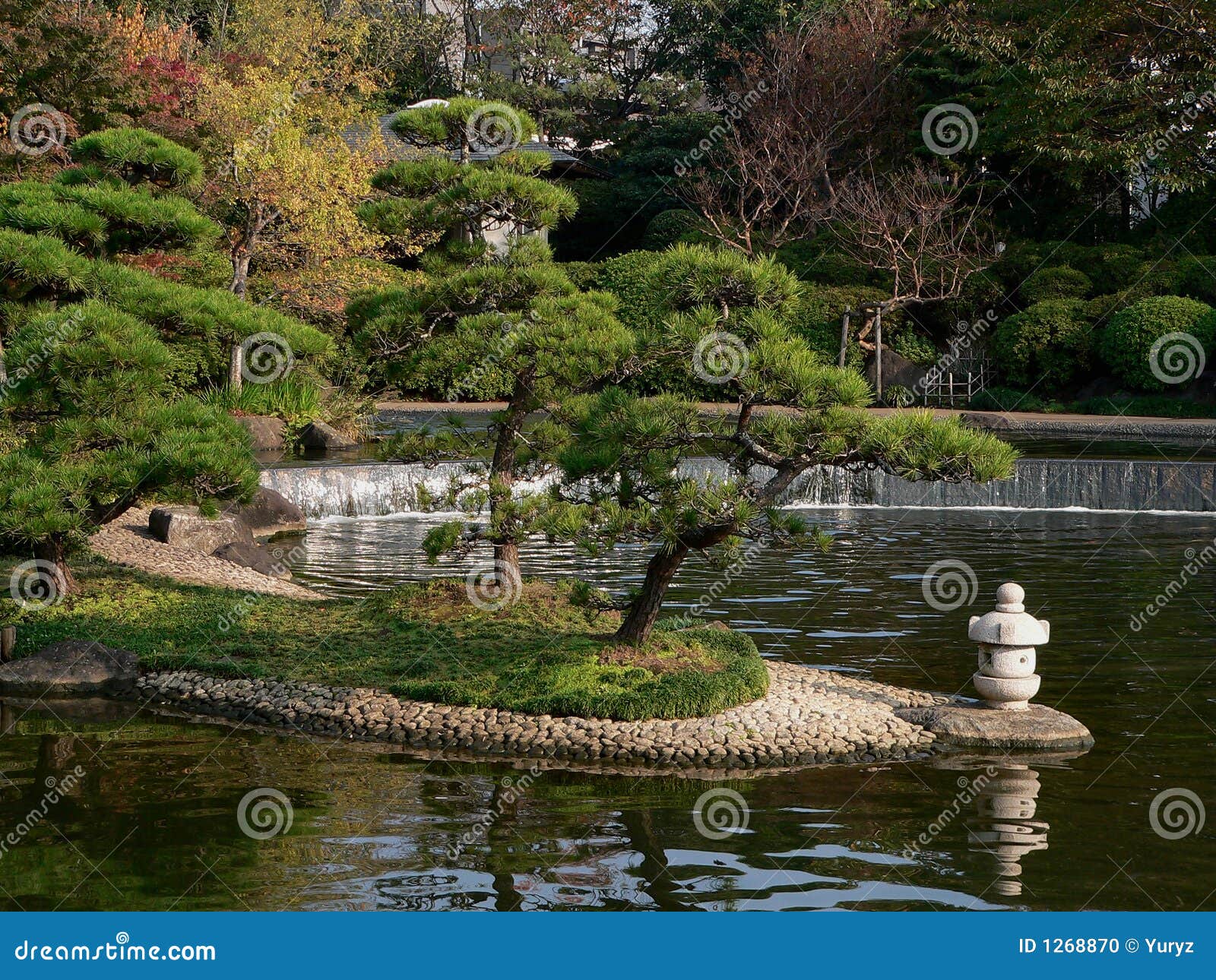 Japanese pond stock photo. Image of side, tradition, roof - 1268870