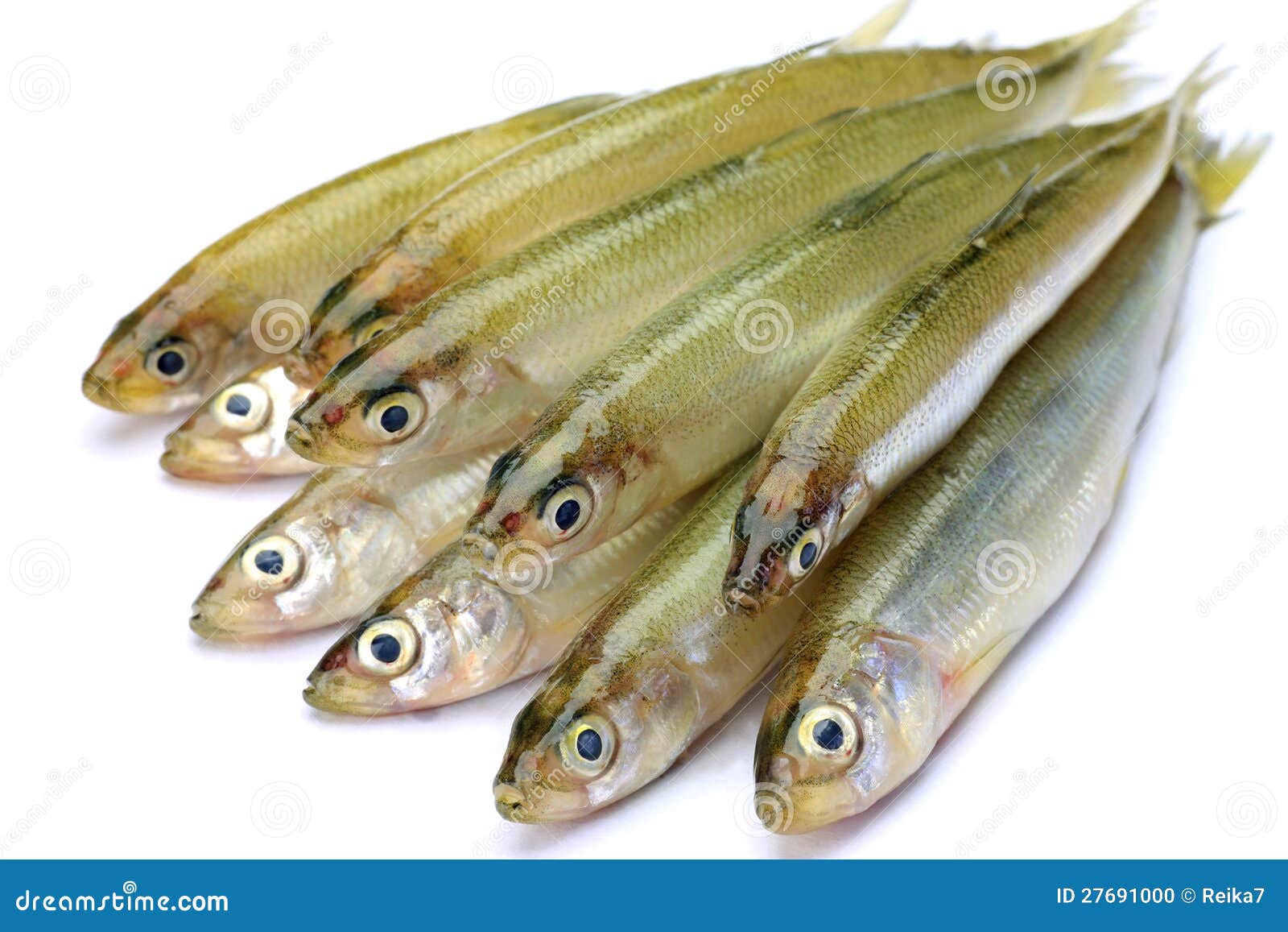 Japanese pond smelt stock photo. Image of food, freshwater - 27691000