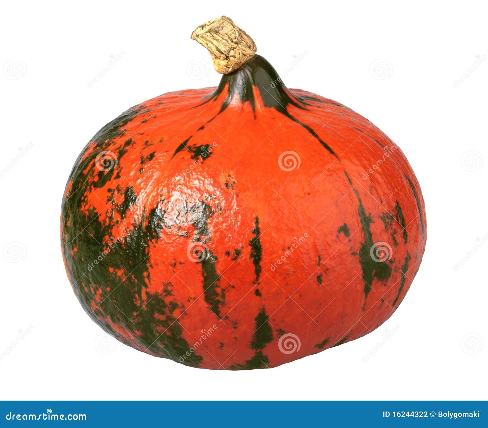 Japanese pumpkin stock photo. Image of iron, folic, cake - 16244322