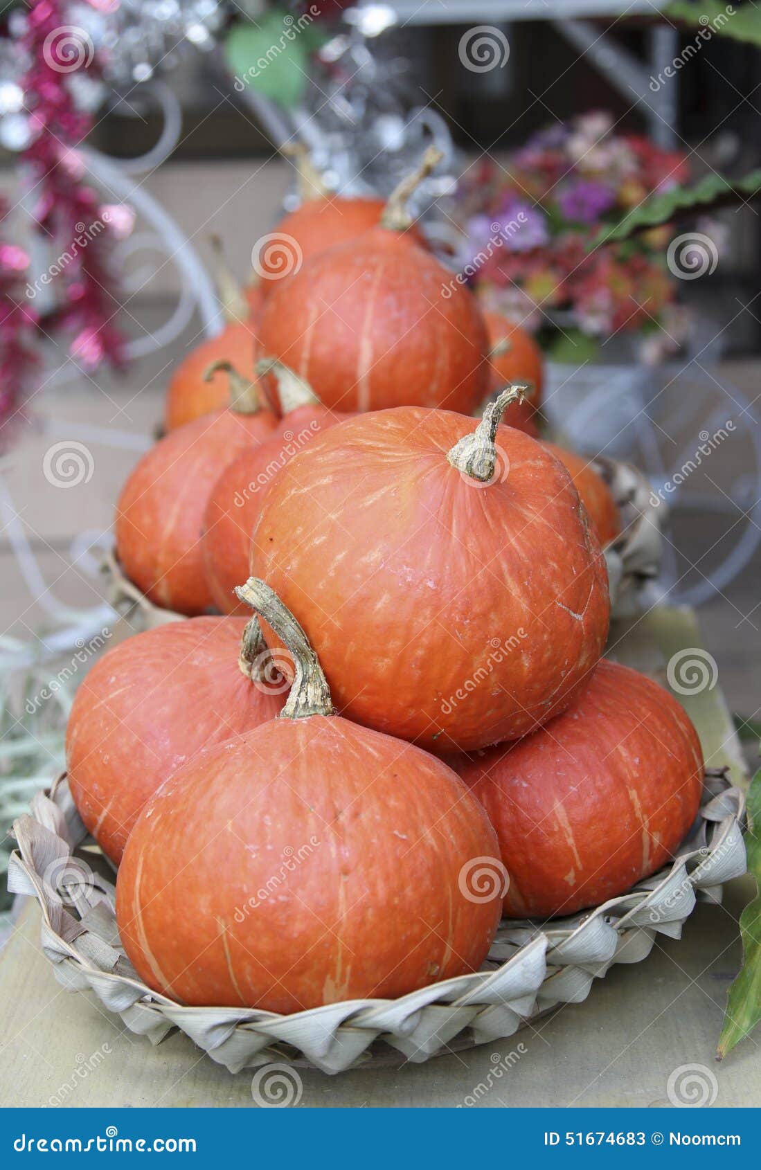 Japanese pumpkin stock image. Image of garden, japan - 51674683