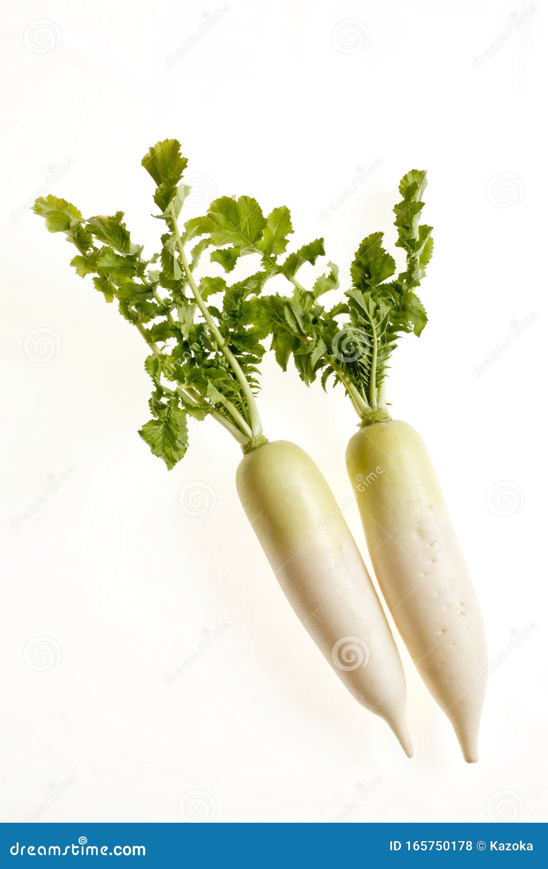 Japanese Radish, Japanese Vegetables Stock Photo - Image of japanese ...