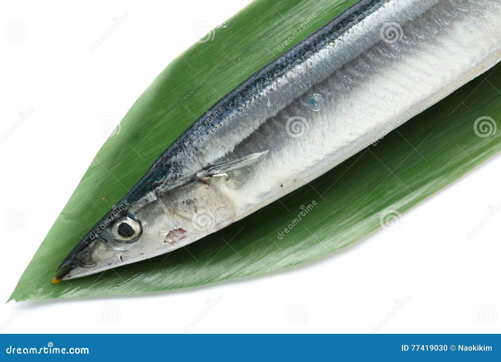 Japanese Raw Saury Fish Isolated 2 Stock Photo - Image of silvery, fall ...