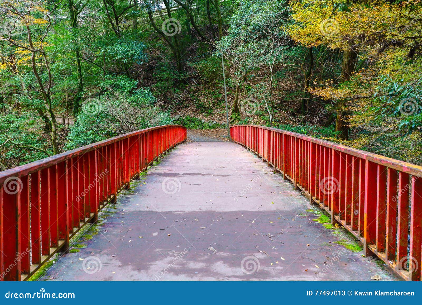 Japanese Red Bridge in the Forest Stock Image - Image of religion ...