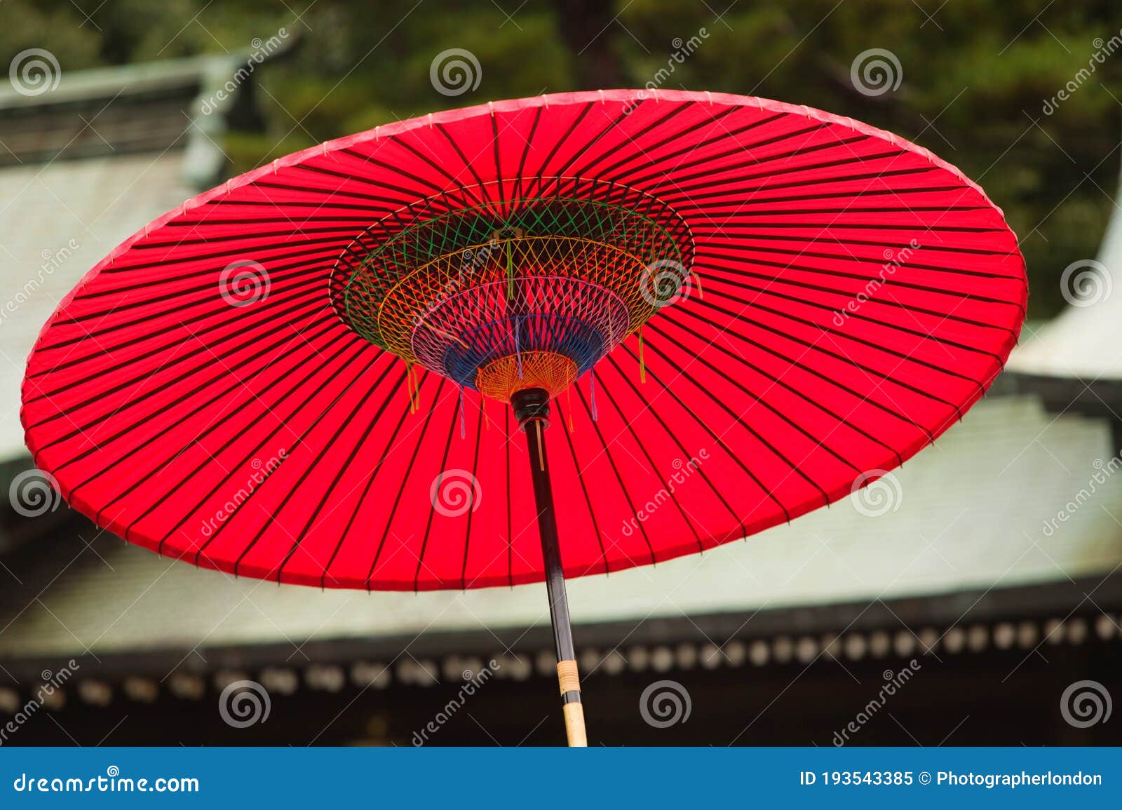 Photo of Japanese Red Parasol Stock Image - Image of decorative, nose ...