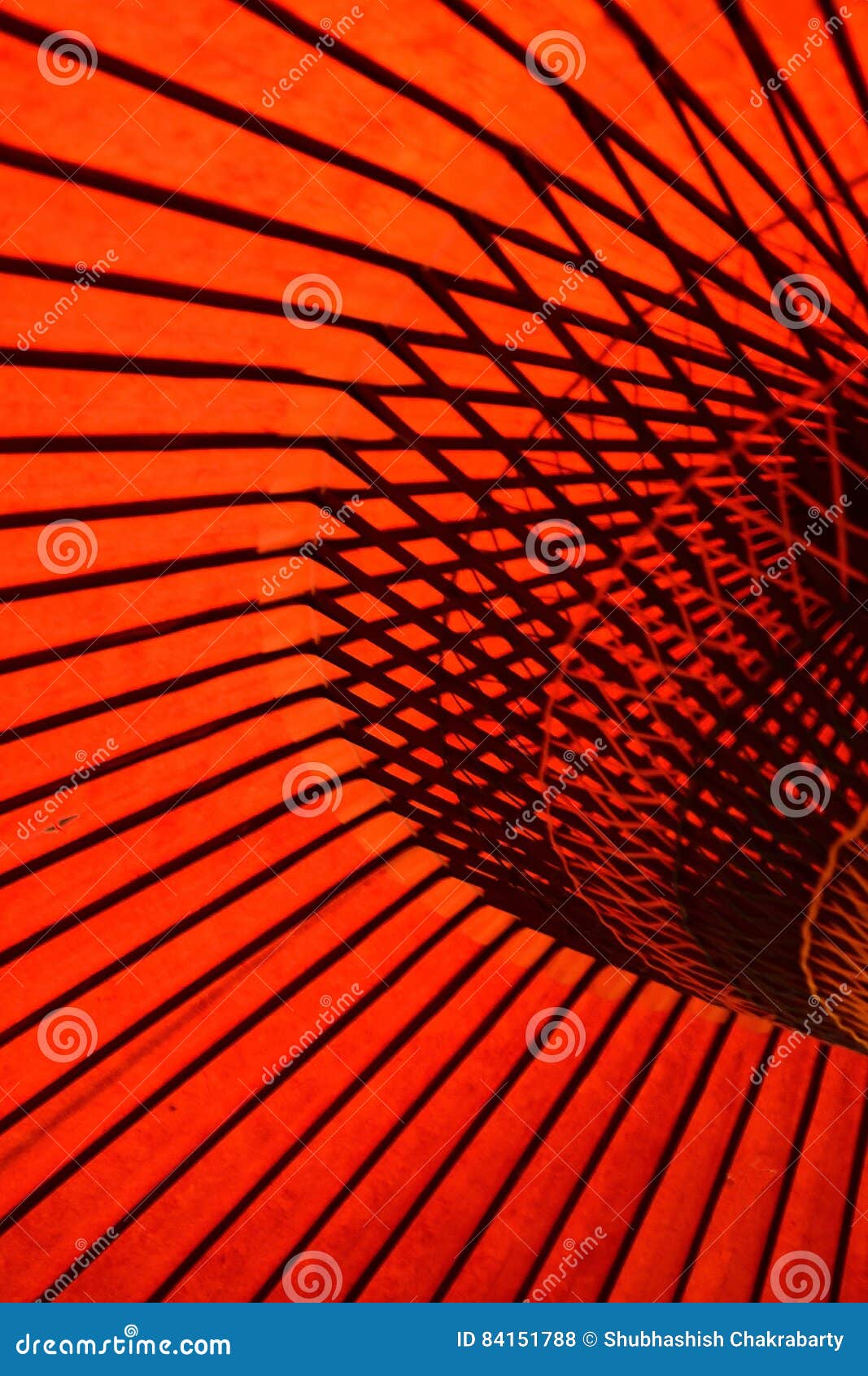 A Vertical Frame Of Tree Skin Stem Texture Background. Royalty-Free ...