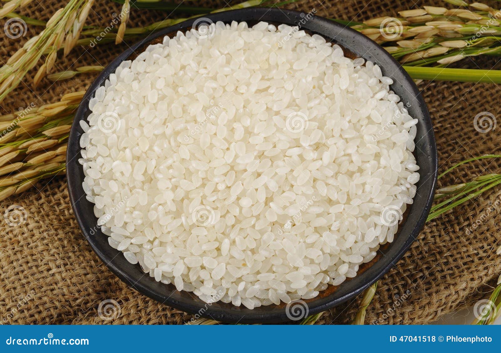 Japanese rice in cup stock photo. Image of rice, brown - 47041518