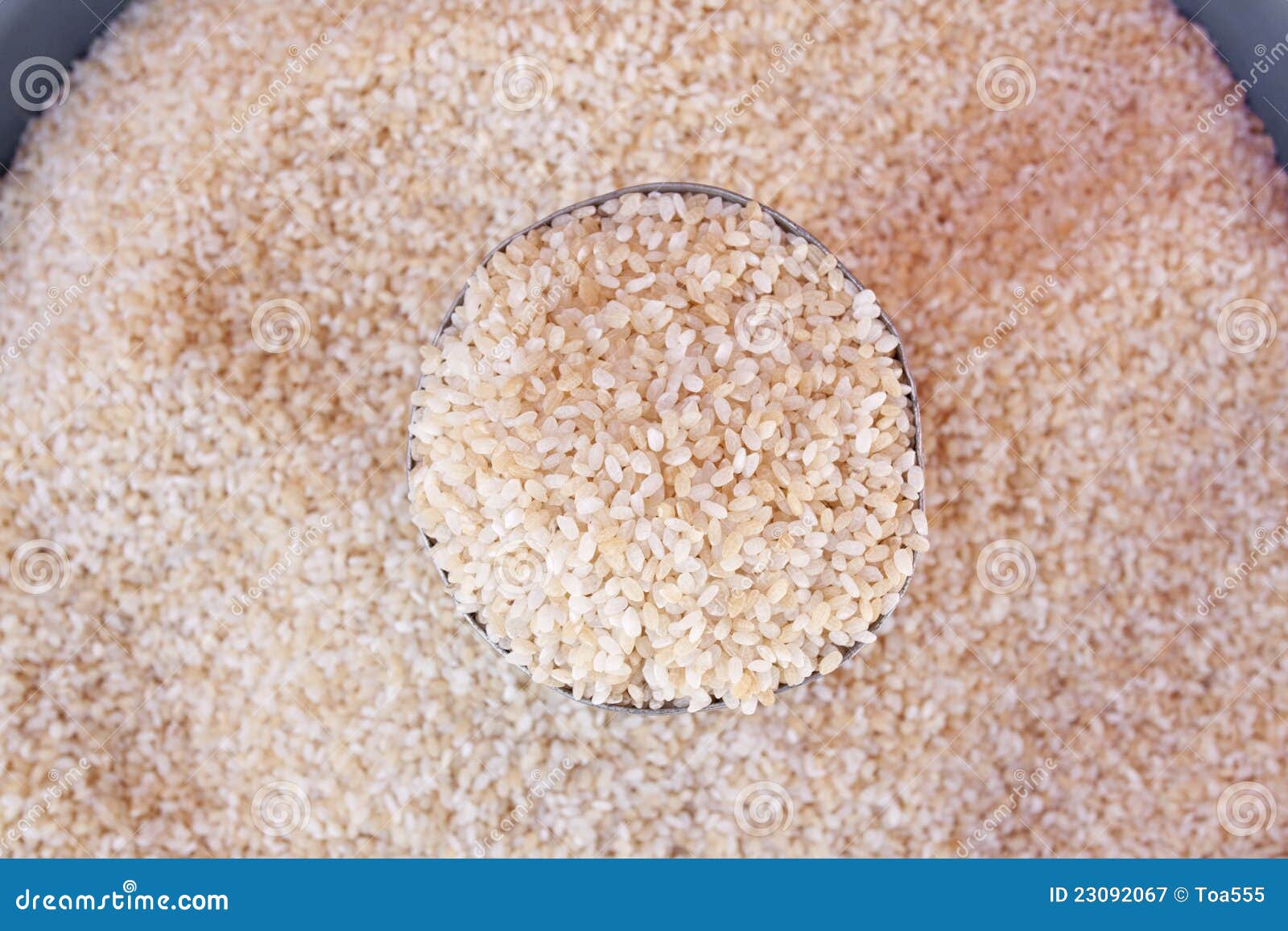 Japanese rice grain in cup stock image. Image of organic - 23092067