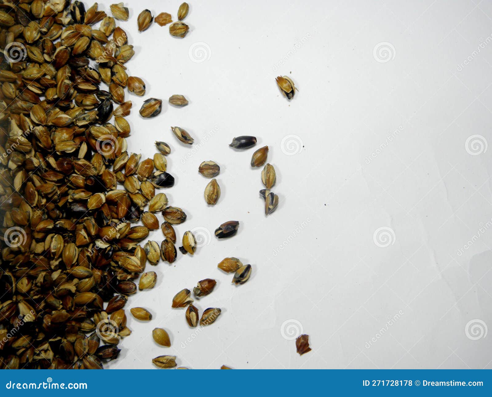 Japanese Roasted Barley Tea Husk Isolated Stock Photo - Image of ...