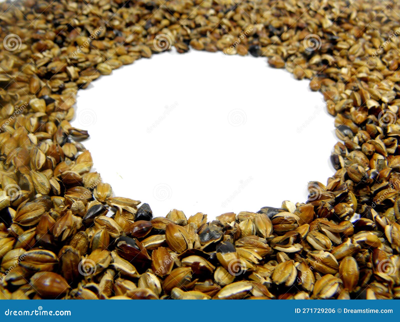 Japanese Roasted Barley Tea Husk Isolated Stock Photo - Image of barley ...