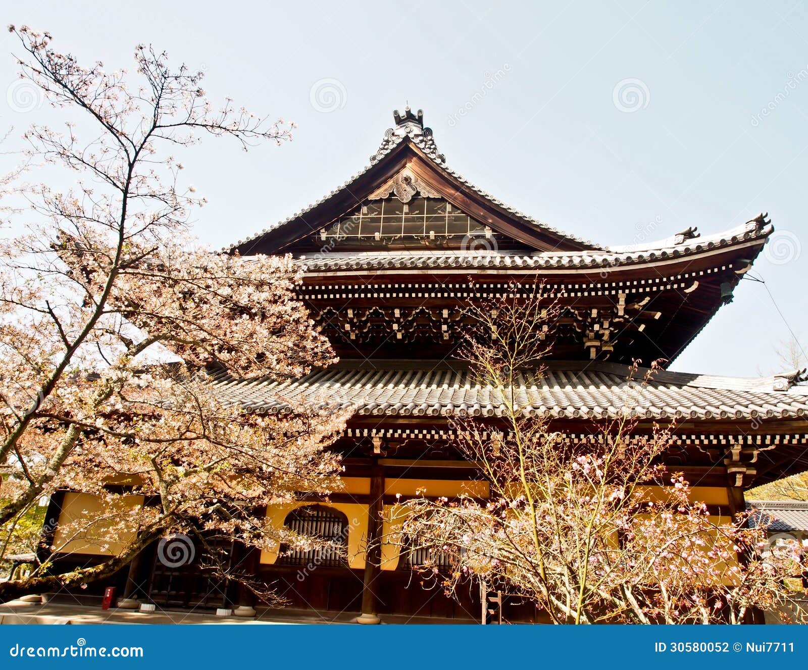 Japanese Shinto Shrine with Cherry Blossom 2 Stock Photo - Image of ...