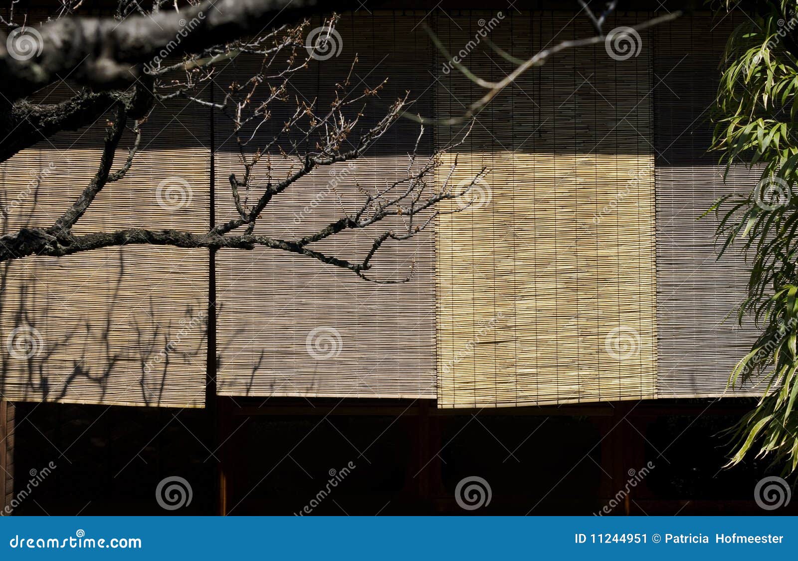 Japanese shutters stock image. Image of east, japanese - 11244951