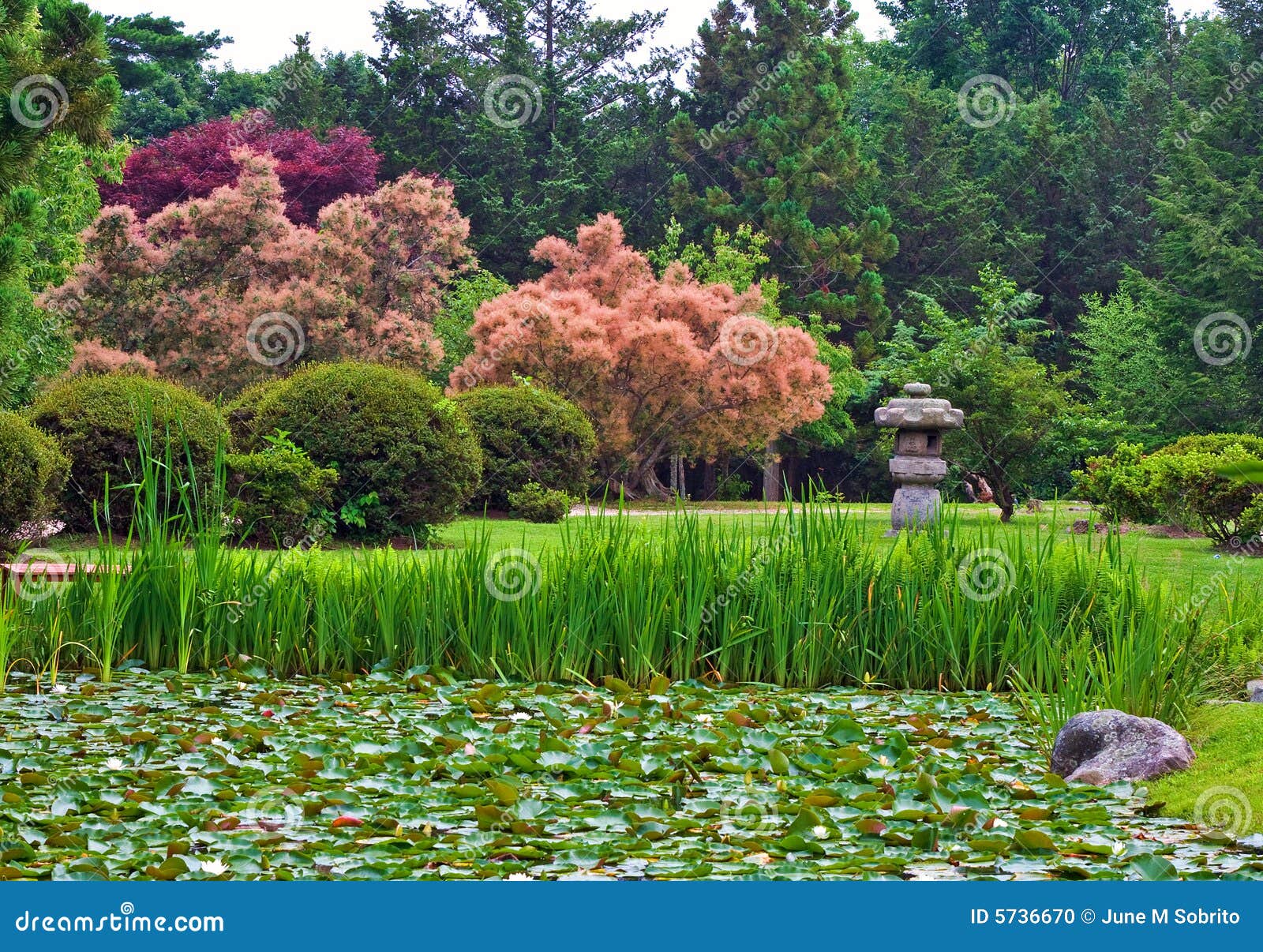 Japanese Stroll Garden stock photo. Image of garden, rocks - 5736670