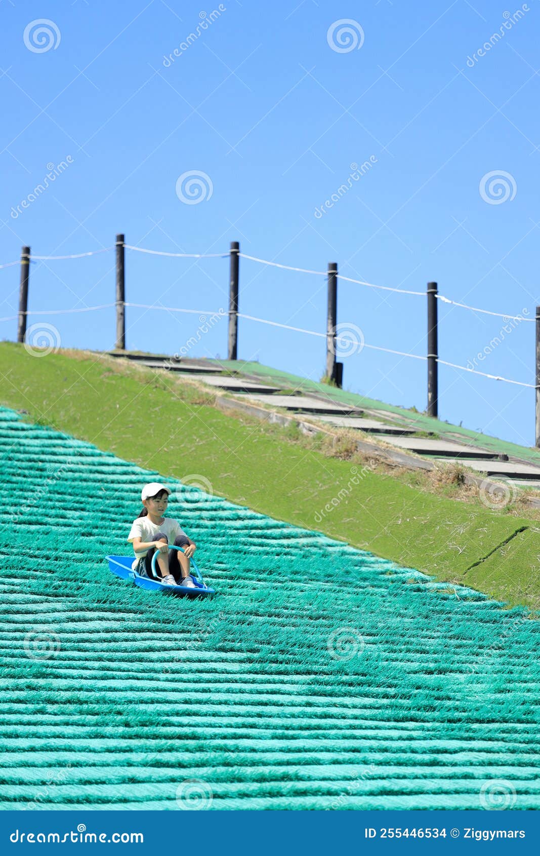 Japanese Student Girl on the Grass Sledge Stock Photo - Image of ...