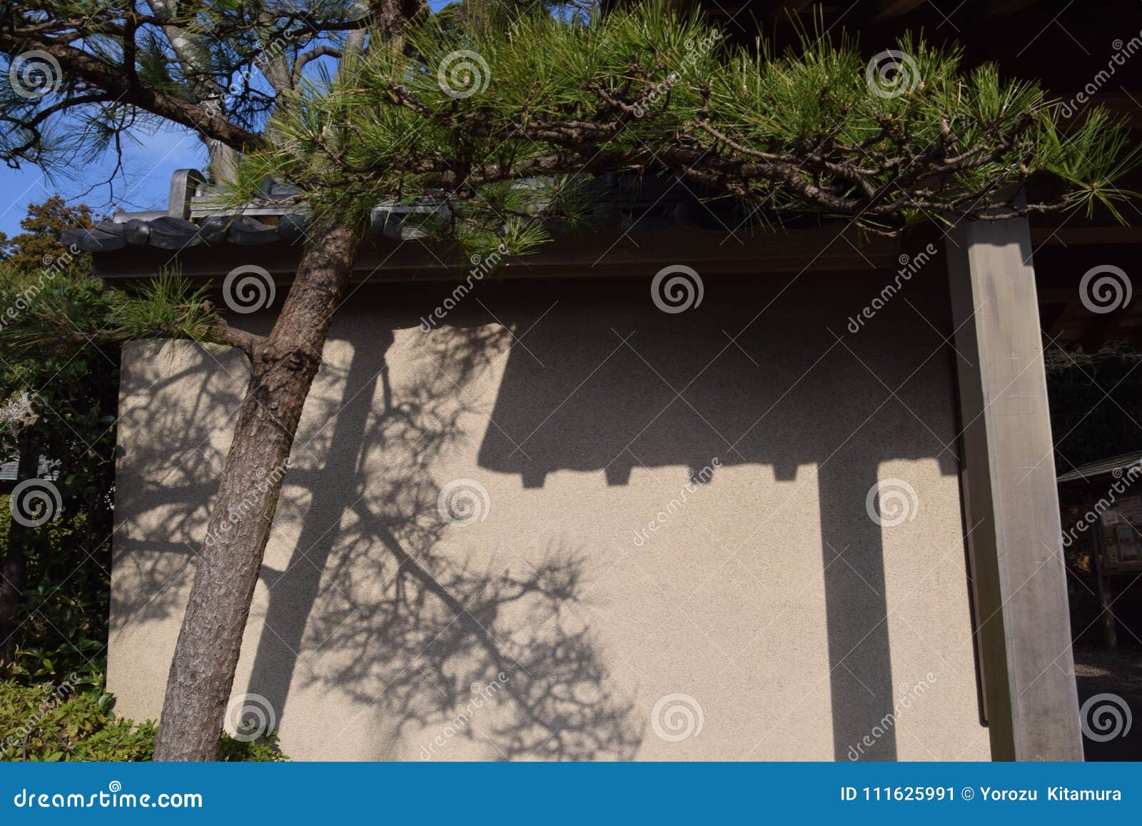 Japanese style gate stock image. Image of kanagawa, wooden - 111625991