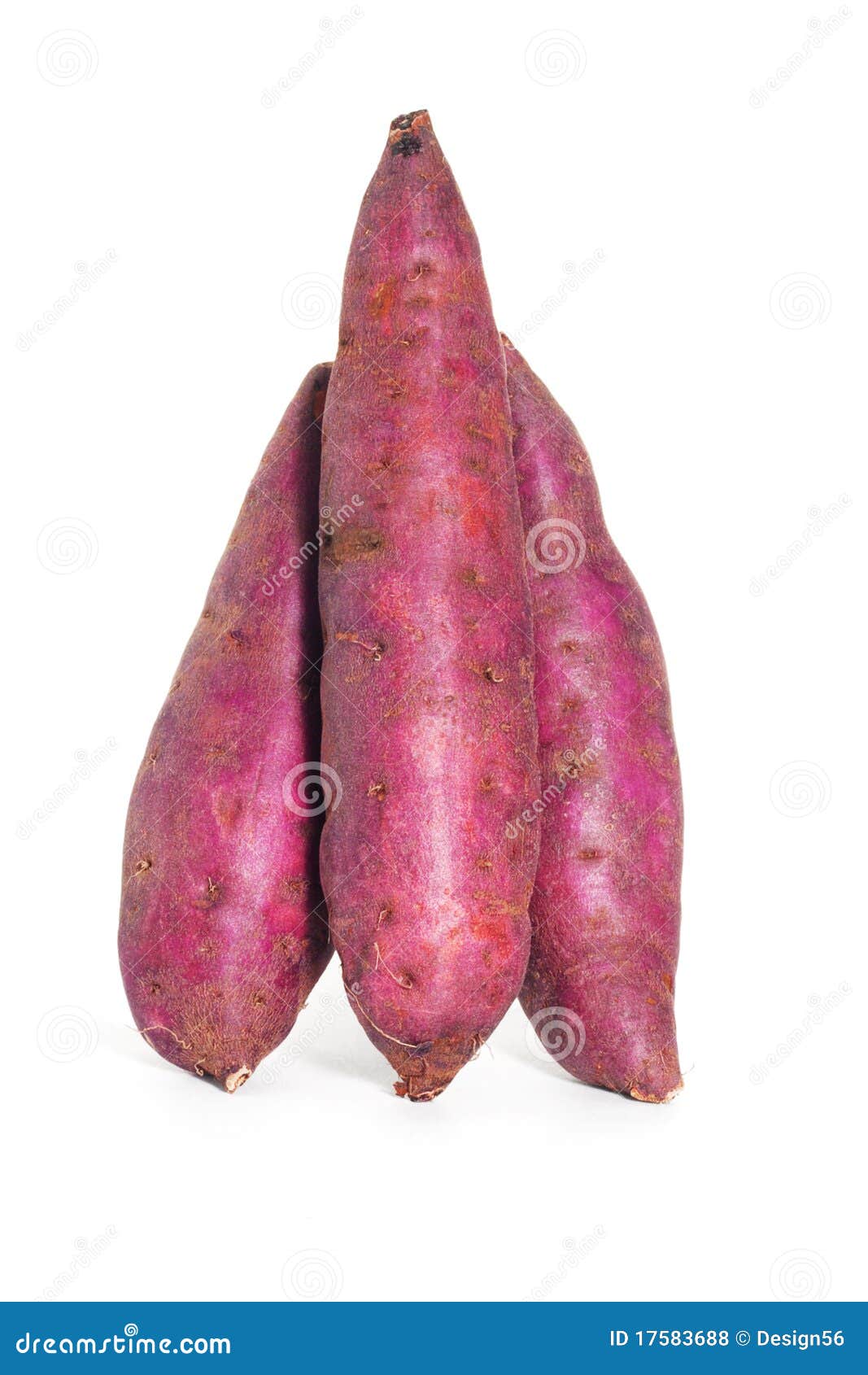 Japanese sweet potatoes stock photo. Image of eating - 17583688