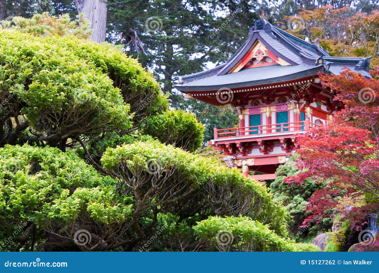 Japanese Tea Garden stock photo. Image of china, history - 15127262