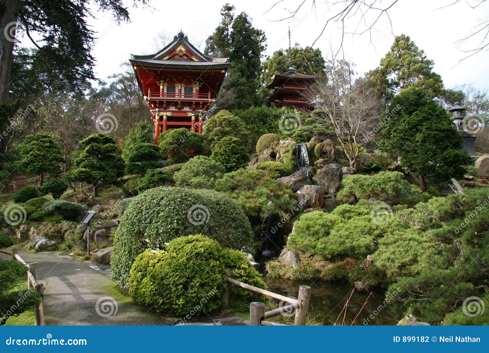 Japanese Tea Gardens stock photo. Image of flowers, landscape - 899182
