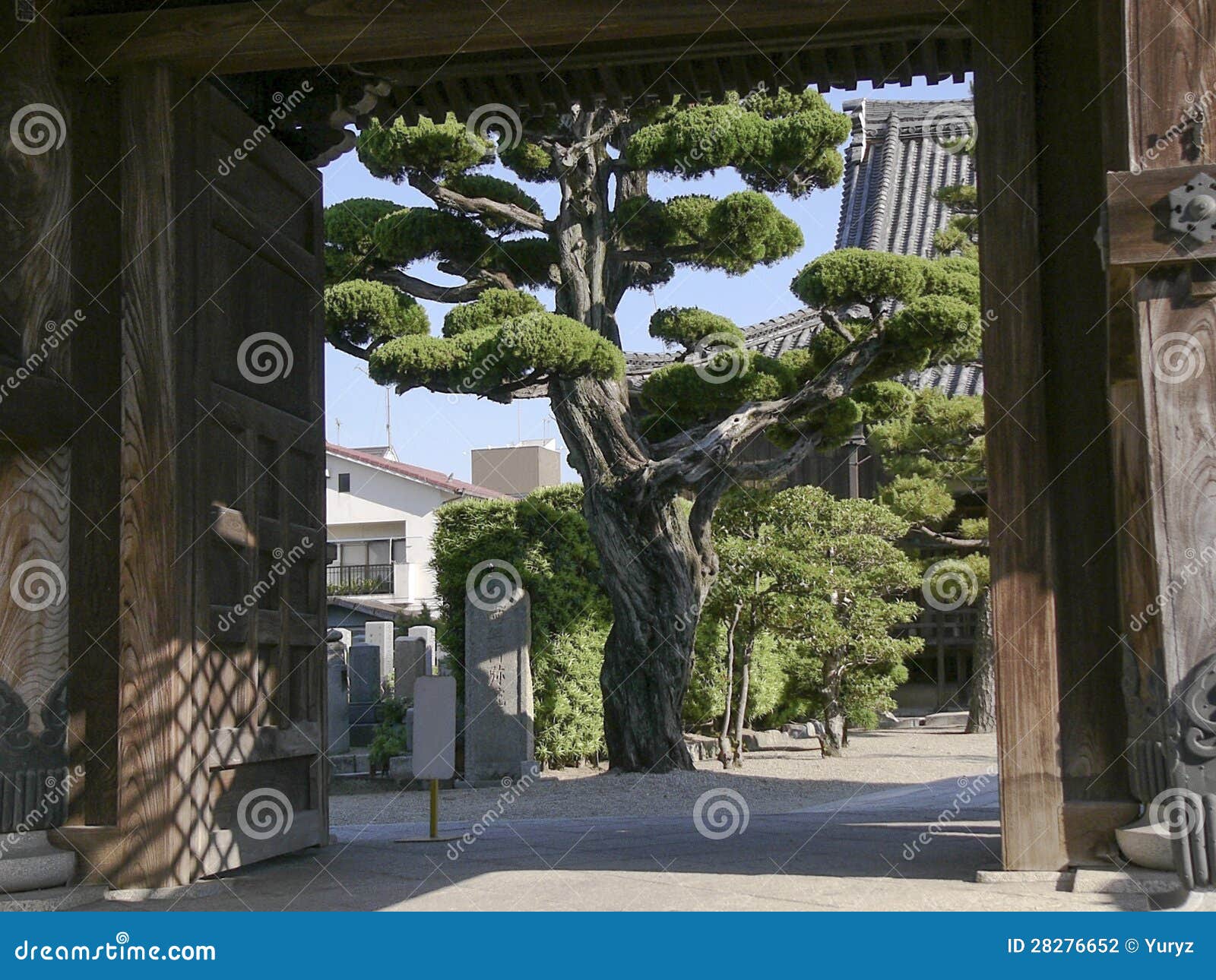 Japanese Temple Gate With Big Tree Picture. Image: 28276652