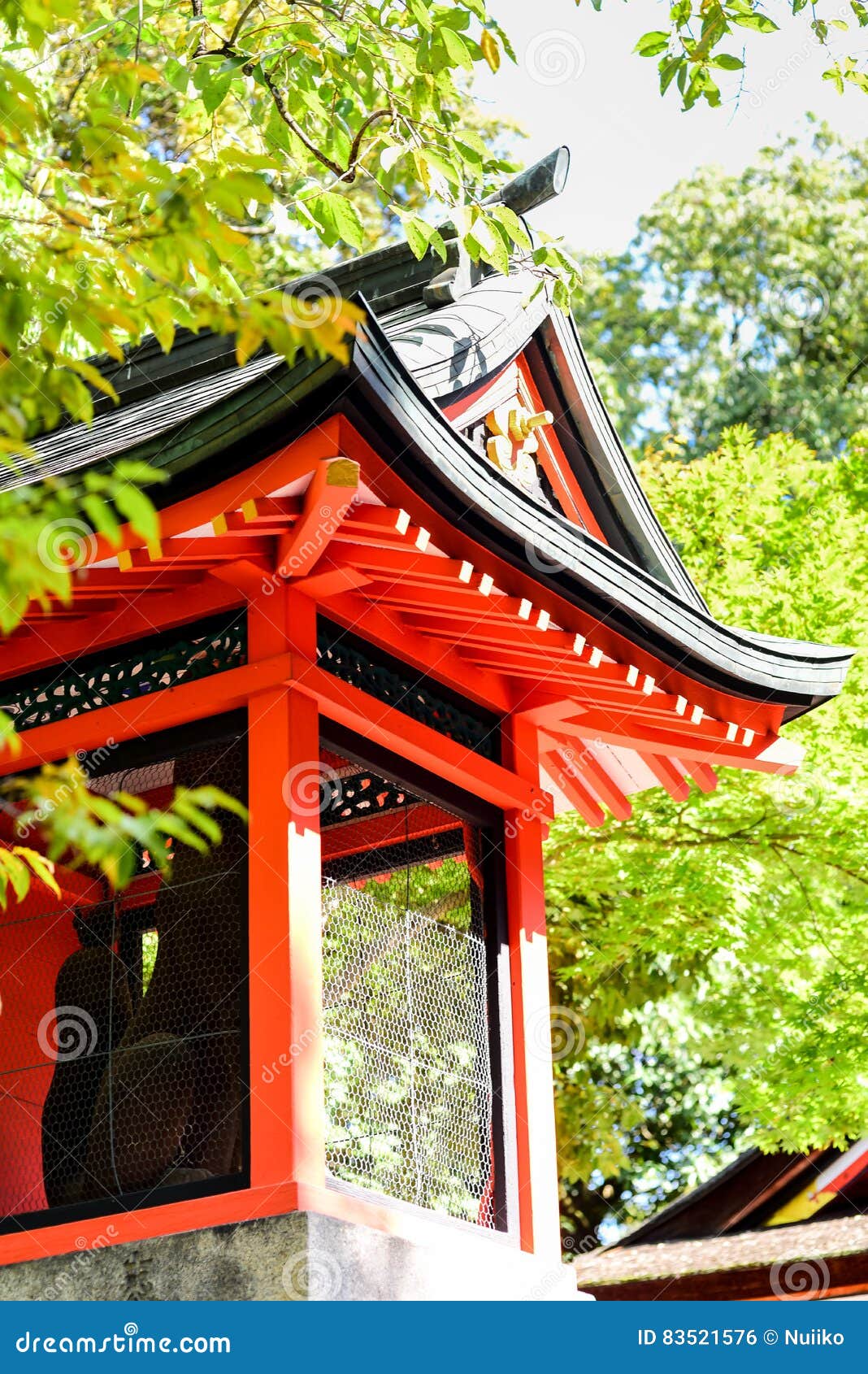 Maple Trees With Fall Foliage Colors At Eikando Temple Editorial Photo ...