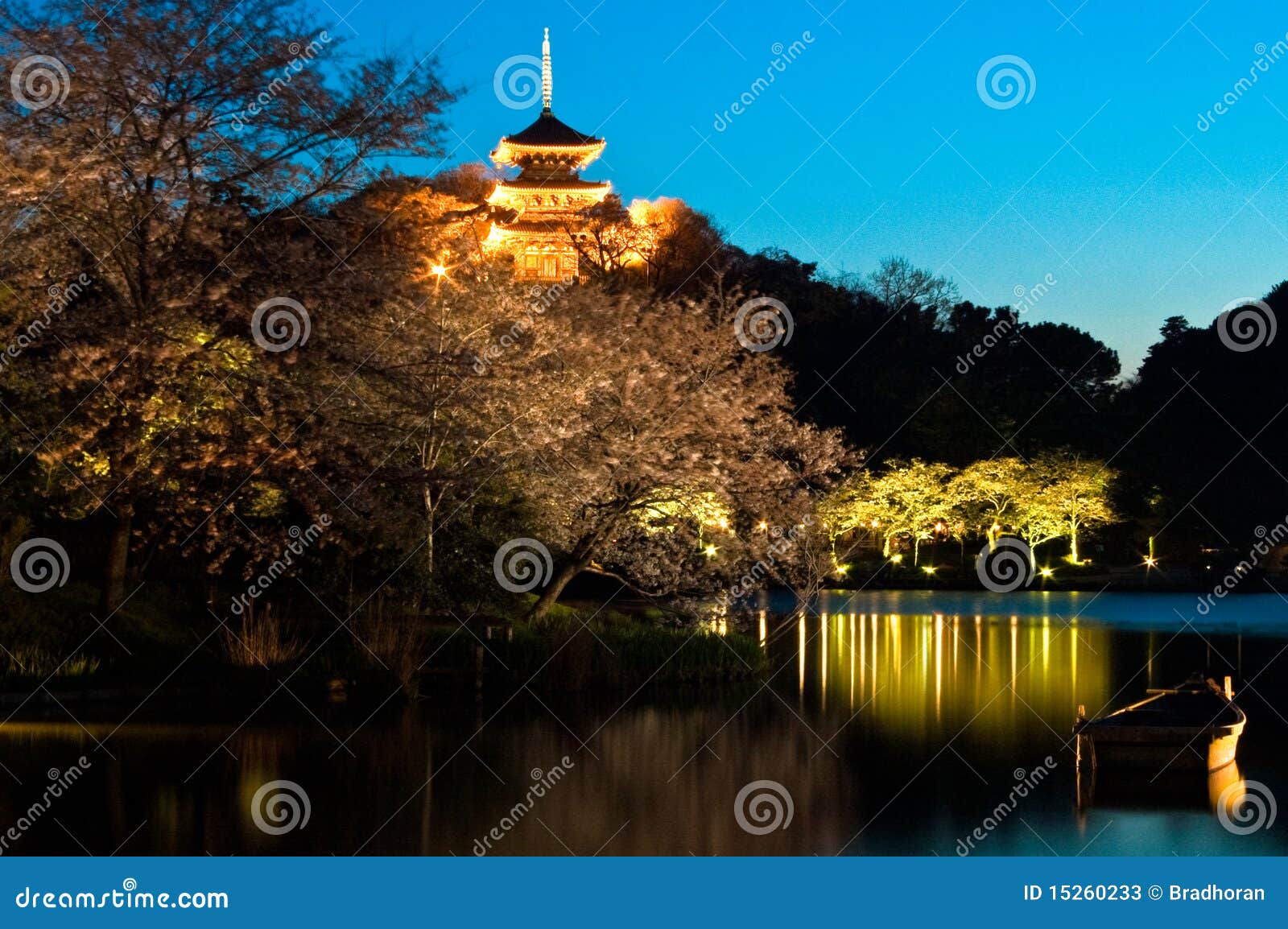 Japanese Temple and Japanese Gardens Nightscape Stock Image - Image of ...