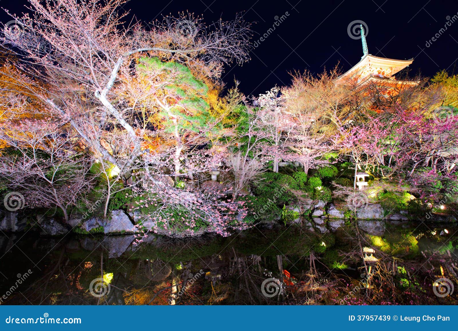 Japanese Temple with Sakura Stock Image - Image of kyoto, reflection ...