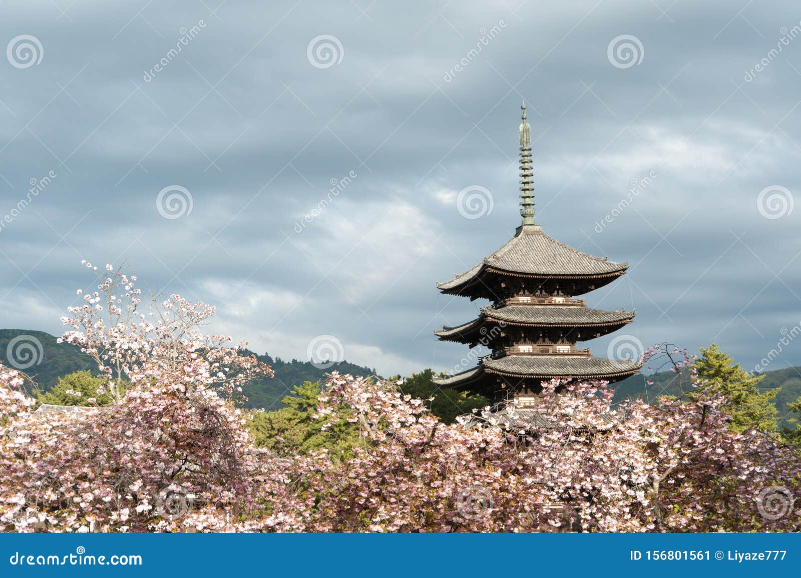 Japanese temples stock image. Image of pink, spring - 156801561