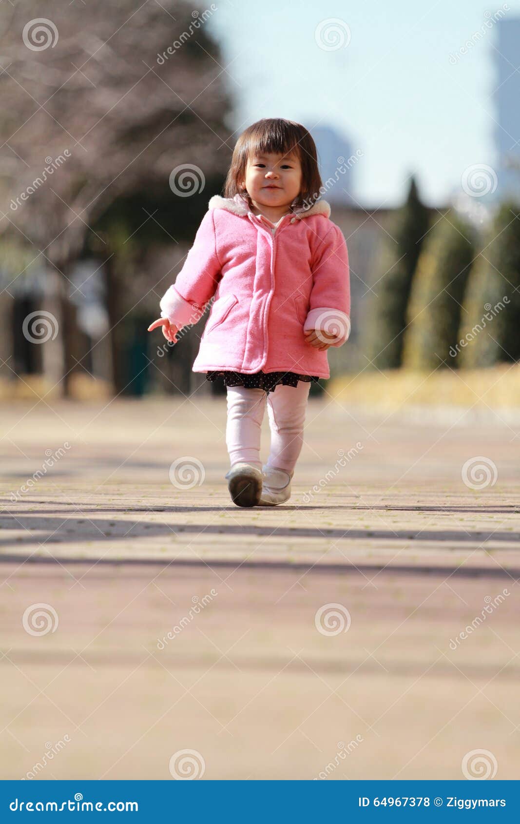Japanese toddling girl stock photo. Image of toddling - 64967378