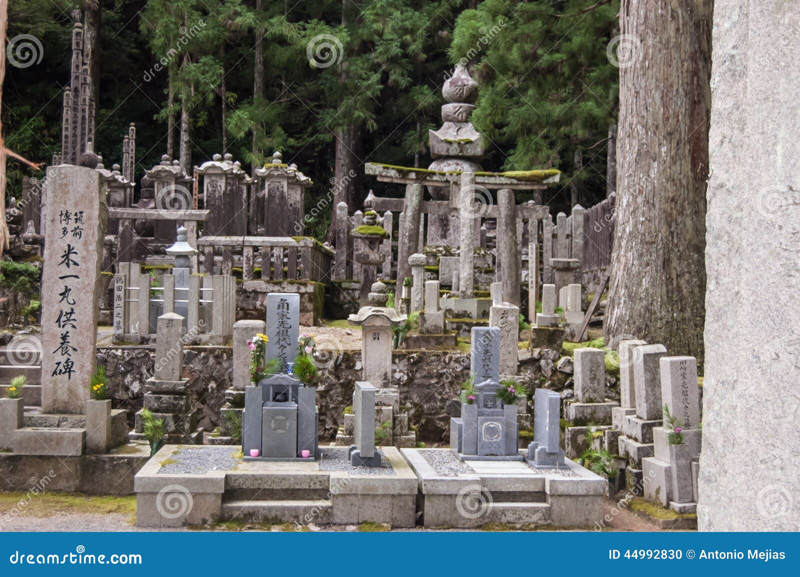 Japanese tombs stock photo. Image of cemetery, tomb, churchyard - 44992830