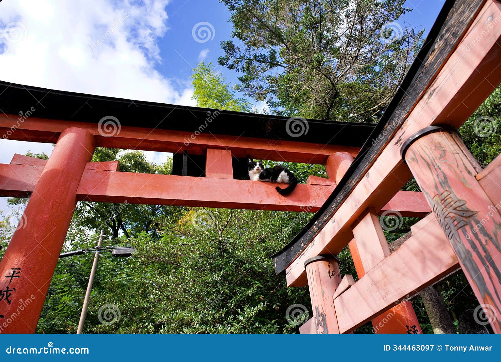 A Torii Gate With A Skyscraper In The Background, Showing The Contrast ...