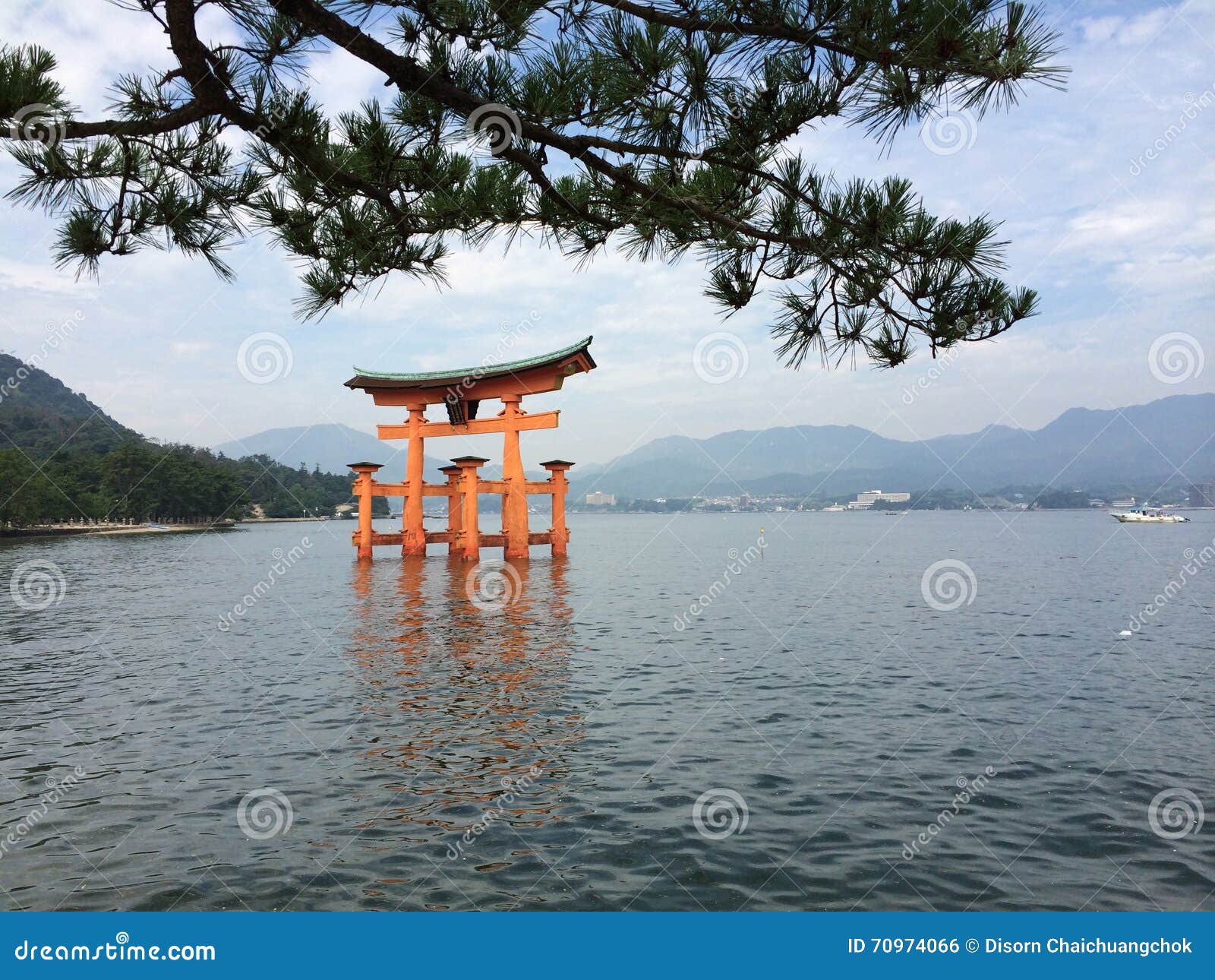 Miyaki Photos - Free & Royalty-Free Stock Photos from Dreamstime